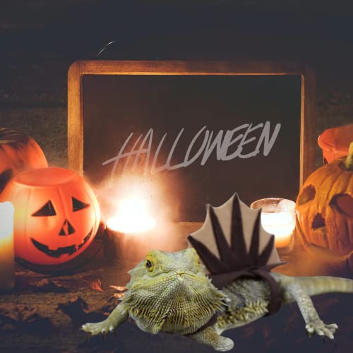 HAICHEN TEC Bearded Dragon Dinosaur Costume Handmade Outfit Felt Apparel Harness for Crested Gecko Chameleon Iguana Reptile