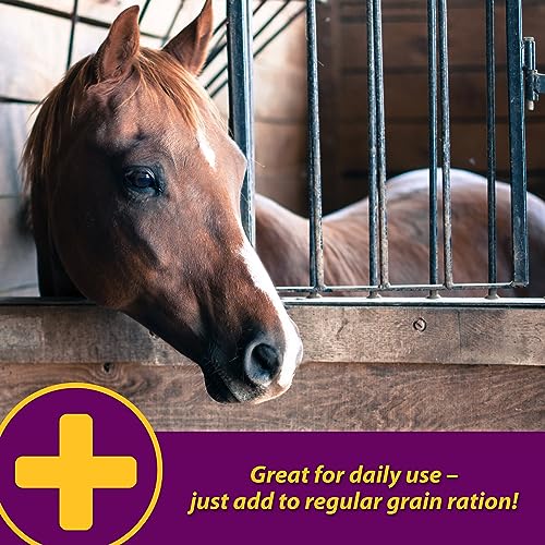 Horse Health Apple-Dex Apple Flavored Electrolytes for Horses, Replaces minerals lost during exercise, under stress or extreme weather conditions, 5 pound