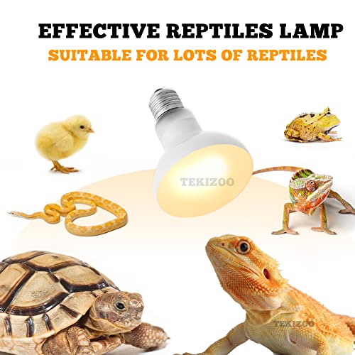 TEKIZOO Reptile Heat Lamp Basking Spot Bulb UVA Daylight Light for Amphibian,Lizard,Tortoise,Bearded Dragon 75W (4 Pack)