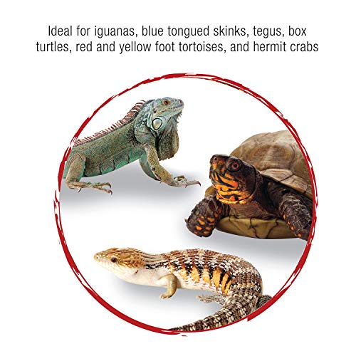 Zilla Reptile Food Munchies Fruit Mix for Pet Iguanas, Skinks, Tegus, Box Turtles, Tortoises & Hermit Crabs, 2.5 Ounce