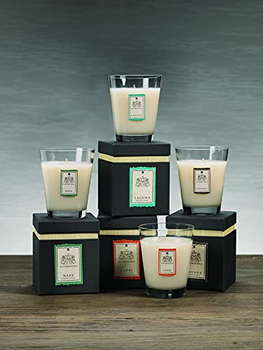 ZODAX Illuminaria Collection Scented Candle Small Glass Jar in Gift Box (Capri) - 340 GR/12 OZ