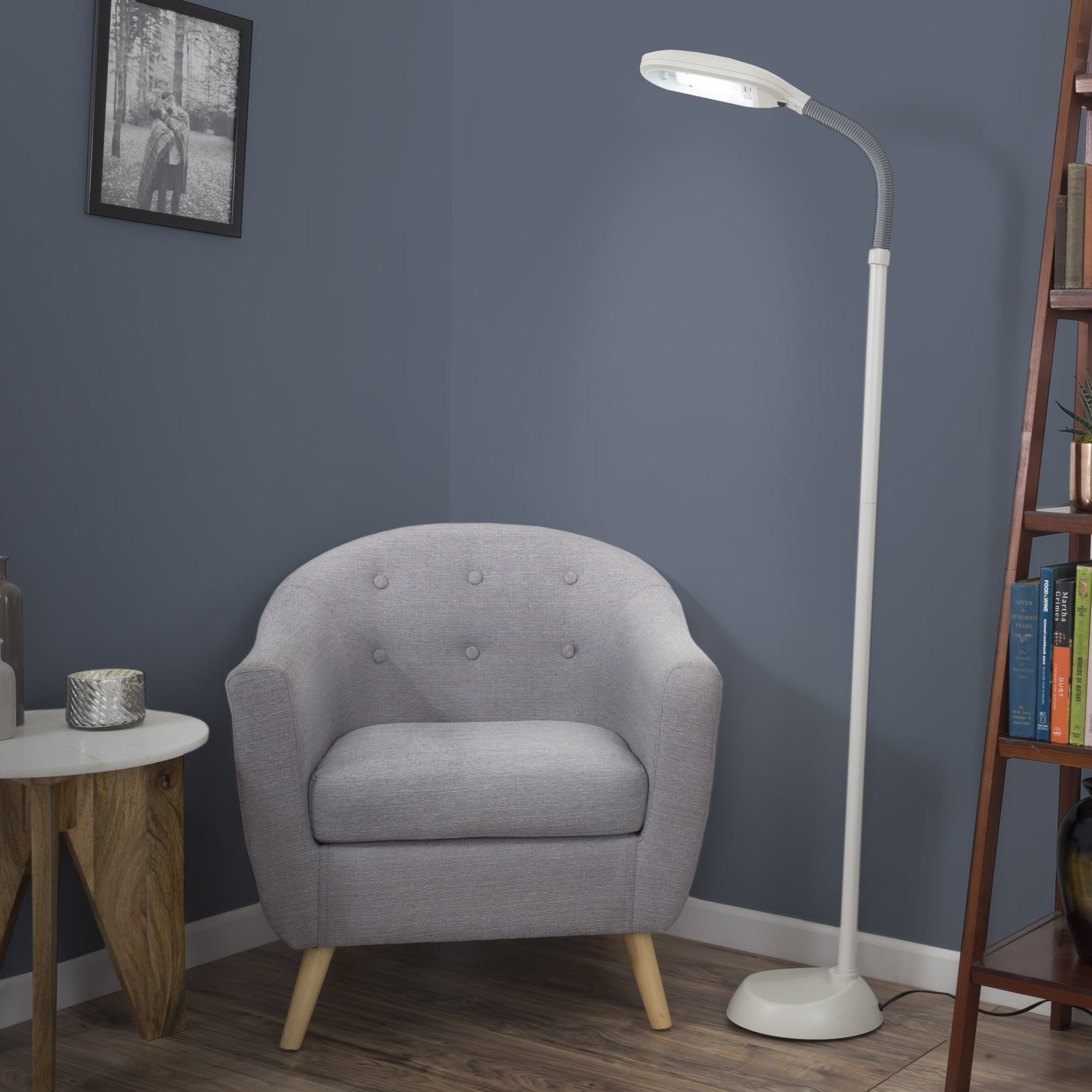 Lavish Home 72-0820 (Beige) Adjustable Full Spectrum Natural Sunlight Lamp with Bendable Neck-Reading, Crafting, Esthetician Floor Light, (L) 10.2β x (W) 8.7β x (H) 62.5