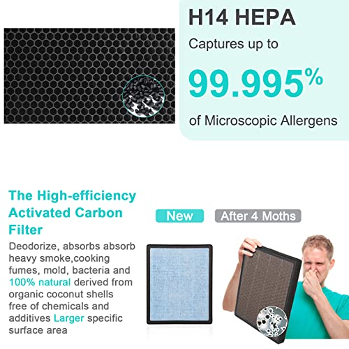 HIMOX M11 Air Purifier Replacement Filter, Medical Grade Genuine H14 True HEPA Filter (99.99%) with 5-Stage Air Filtration System for Home Large Room Bedroom Pets