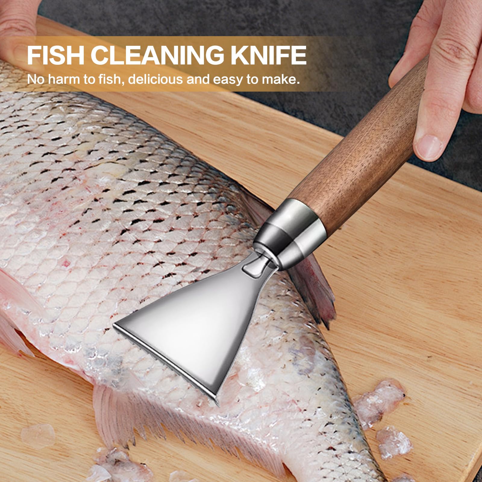 Fish Scale Remover, 2PCS Fish Scaler Remover, Sharp Fish Descaler Tool, Stainless Steel Fish Scaler Machine, 2024 New Fish Cleaner, Portable Fish Scaler Tool, Fish Skin Remover for Kitchen, Chef