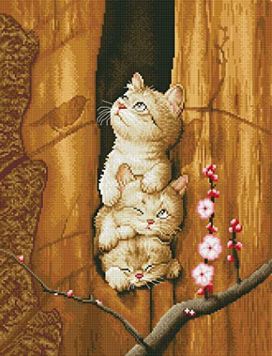 Maydear Stamped Cross Stitch Kits, Needlepoint Embroidery Kits for Beginner Kids or Adults, 14CT 2 Strands DIY Easy Counted Cross Stitch Kit - Three Cats 15.4×11.4 inch