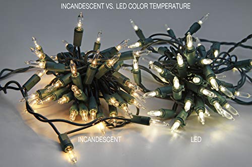 DecoBrite Incandescent 69ft (21m) 300 ct Christmas String Lights Clear with Green Wire, Indoor Outdoor Christmas Lights Decorations for Tree, Patio, Garden(300 Clear Bulbs with Green Wire