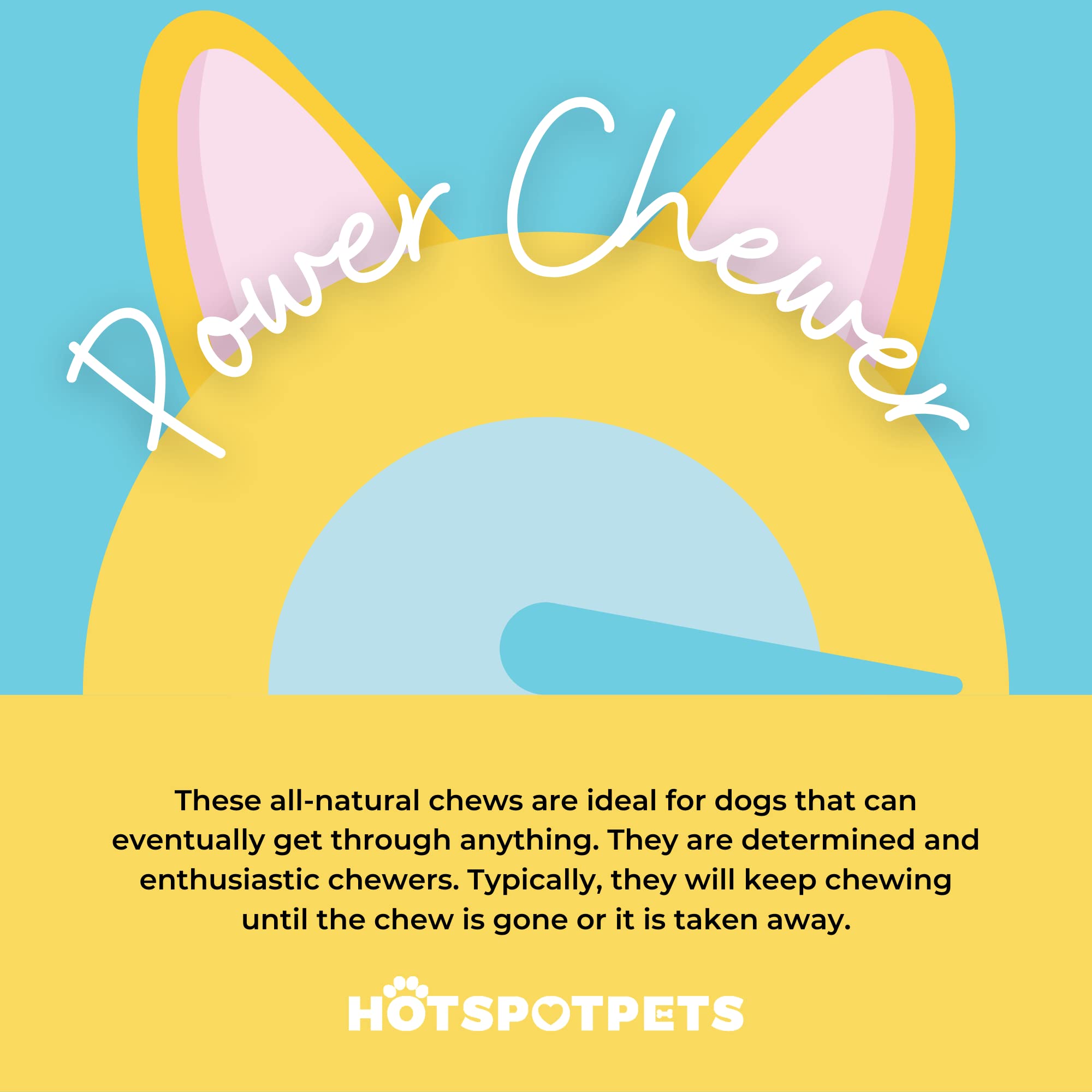 hotspot pets All Natural Beef Knee Caps for Dogs, Dog Bones, Single Ingredient Dog Chews for Aggressive Chewers - Long Lasting Rawhide Alternative Meat Bones