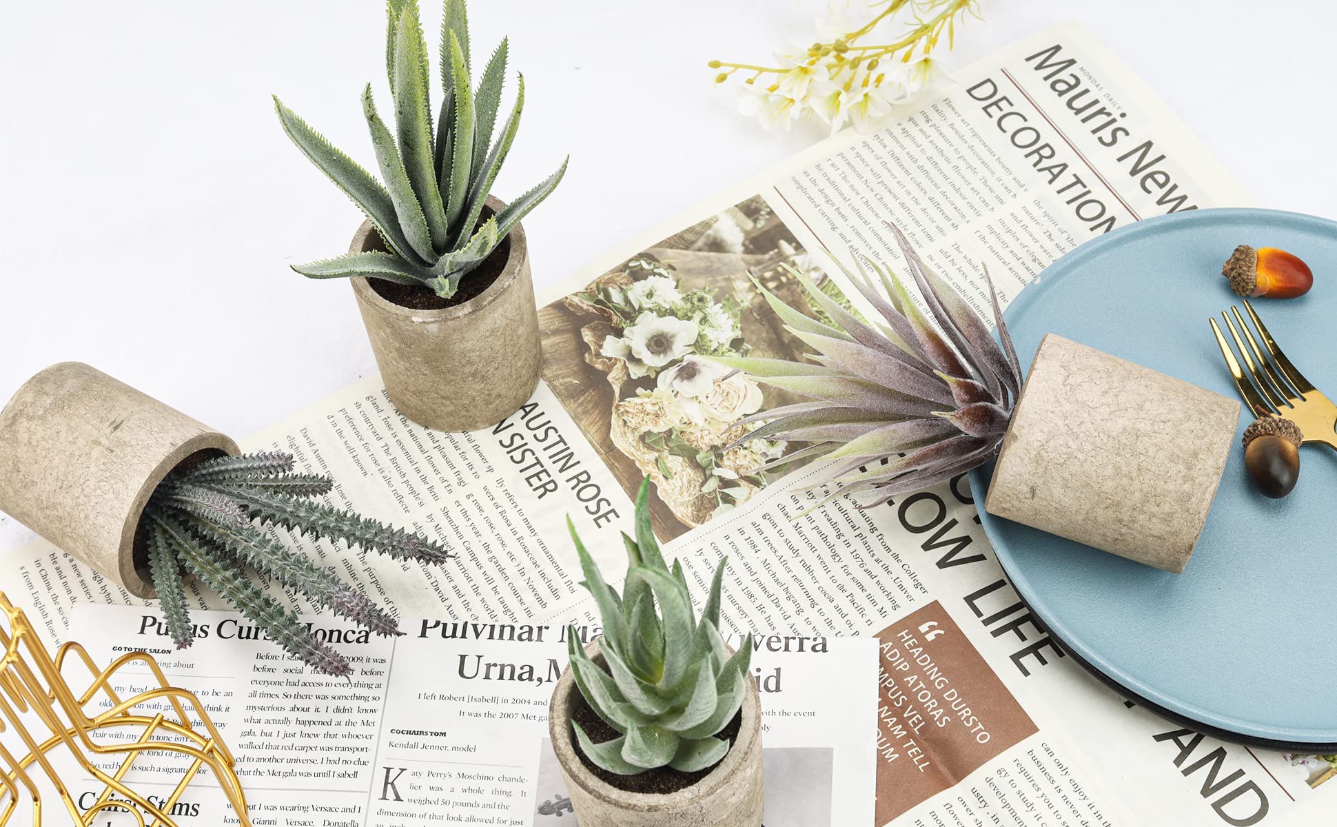 WUKOKU 4 PCS Small Fake Succulents Plants in Ceramic Pots Mini Artificial Potted Succulent Decoration for Desk, Shelves, Office and Home