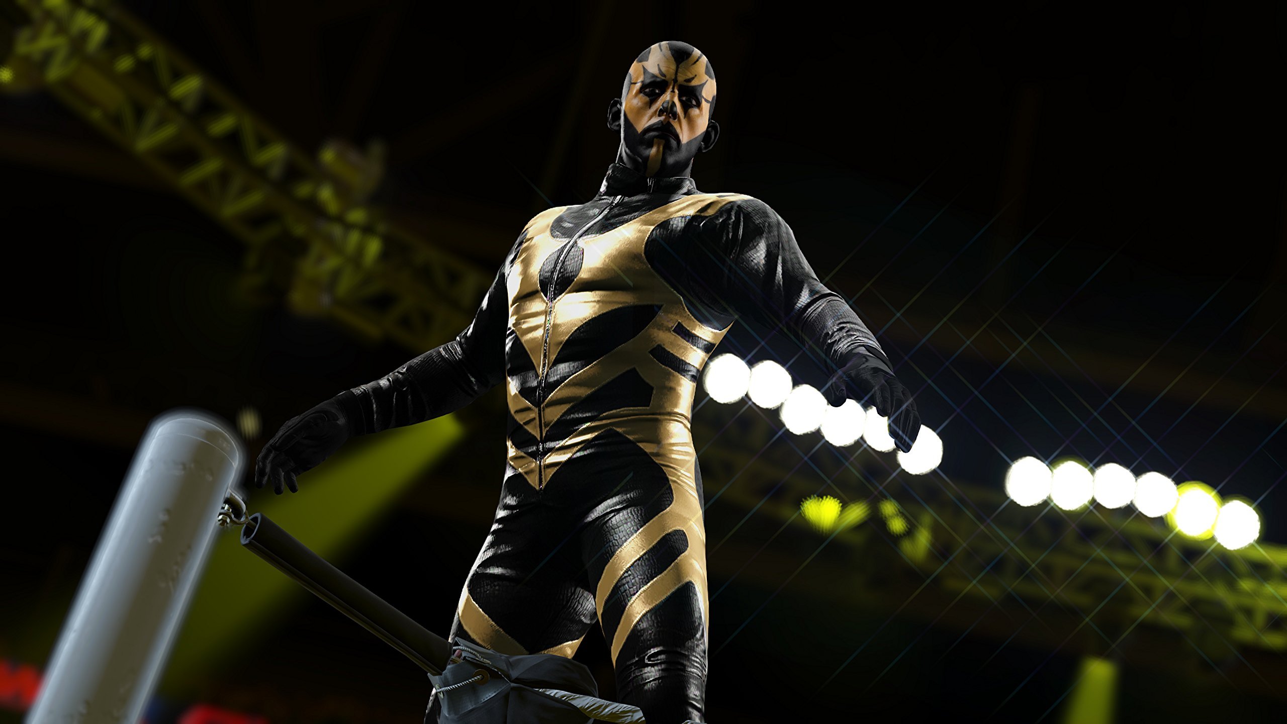 WWE 2K15 - PlayStation 4 (Renewed)