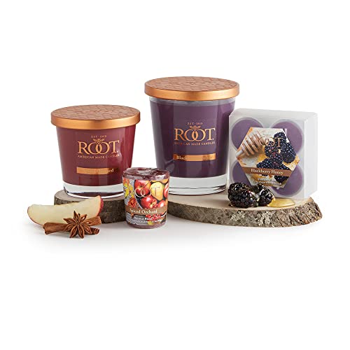 Root Candles Legacy Veriglass Honeycomb Beeswax Blend Premium Handcrafted Scented Candle, Large, BlackBerry Honey