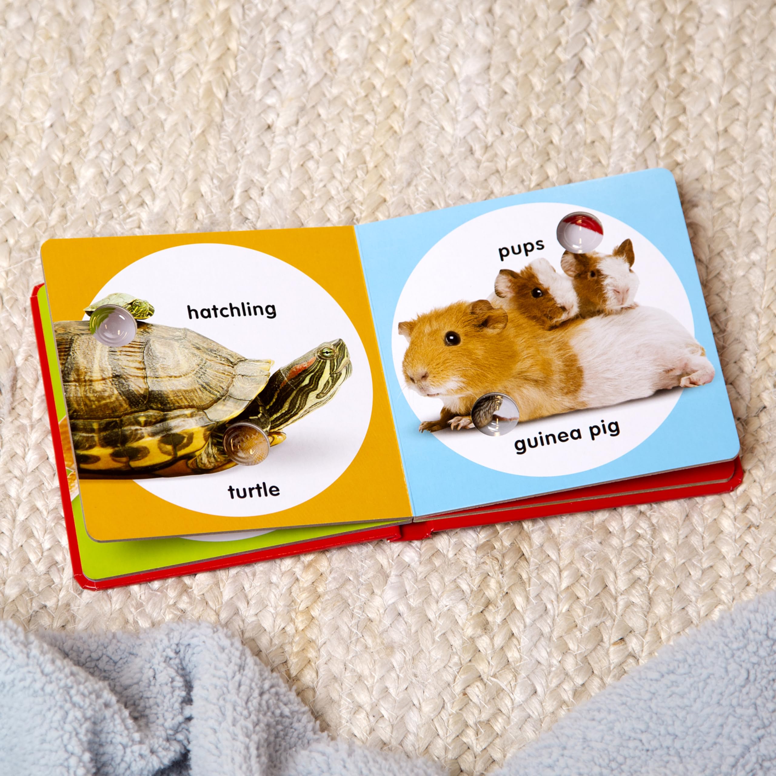 Melissa & Doug Children’s Book – Poke-a-Dot: Pet Families (Board Book with Buttons to Pop)