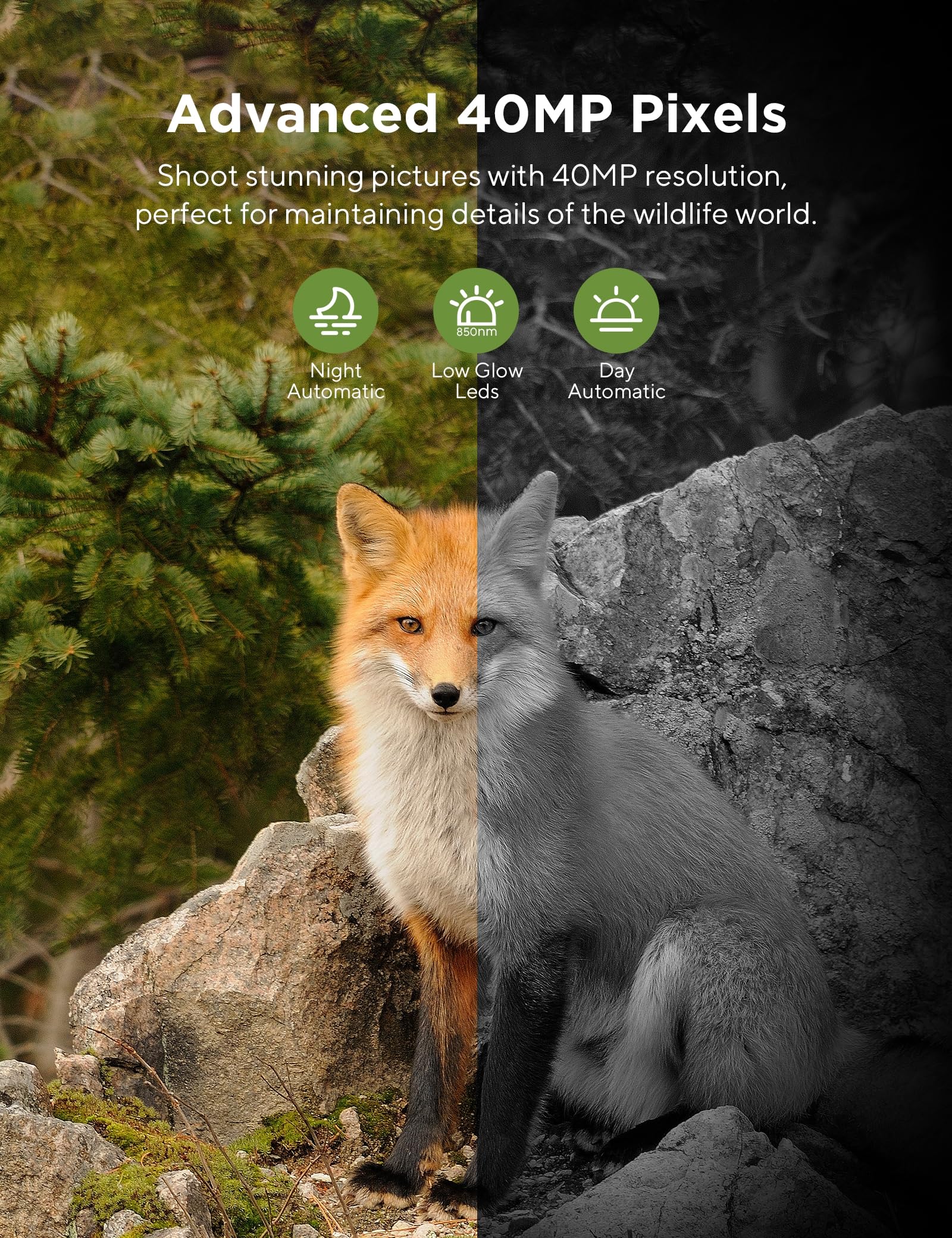 CEYOMUR Trail Camera, WiFi Bluetooth Native 30MP 1296P Hunting Camera with 120° Motion Sensor 0.2s Trigger Time Trail Game Camera with IR Night Vision and IP66 Waterproof for Wildlife Monitoring