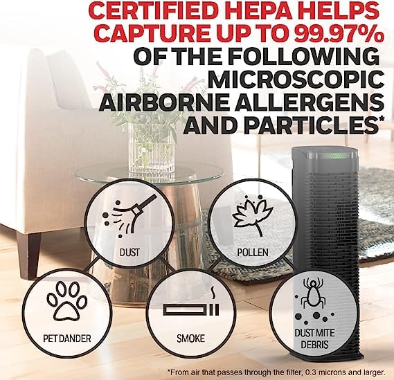 Honeywell InSight HEPA Air Purifier with Air Quality Indicator and Auto Mode, for Large Rooms (200 sq. ft), Black - Wildfire/Smoke, Pollen, Pet Dander, and Dust Air Purifier,HPA180B