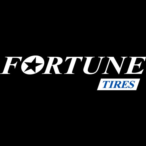 Fortune Viento FSR702 205/45R16 87W XL BSW