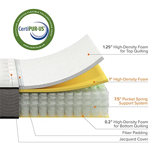 ZINUS 10 Inch Support Plus Pocket Spring Hybrid Mattress / Extra Firm Feel / Heavier Coils for Durable Support / Pocket Innersprings for Motion Isolation / Mattress-in-a-Box, Full