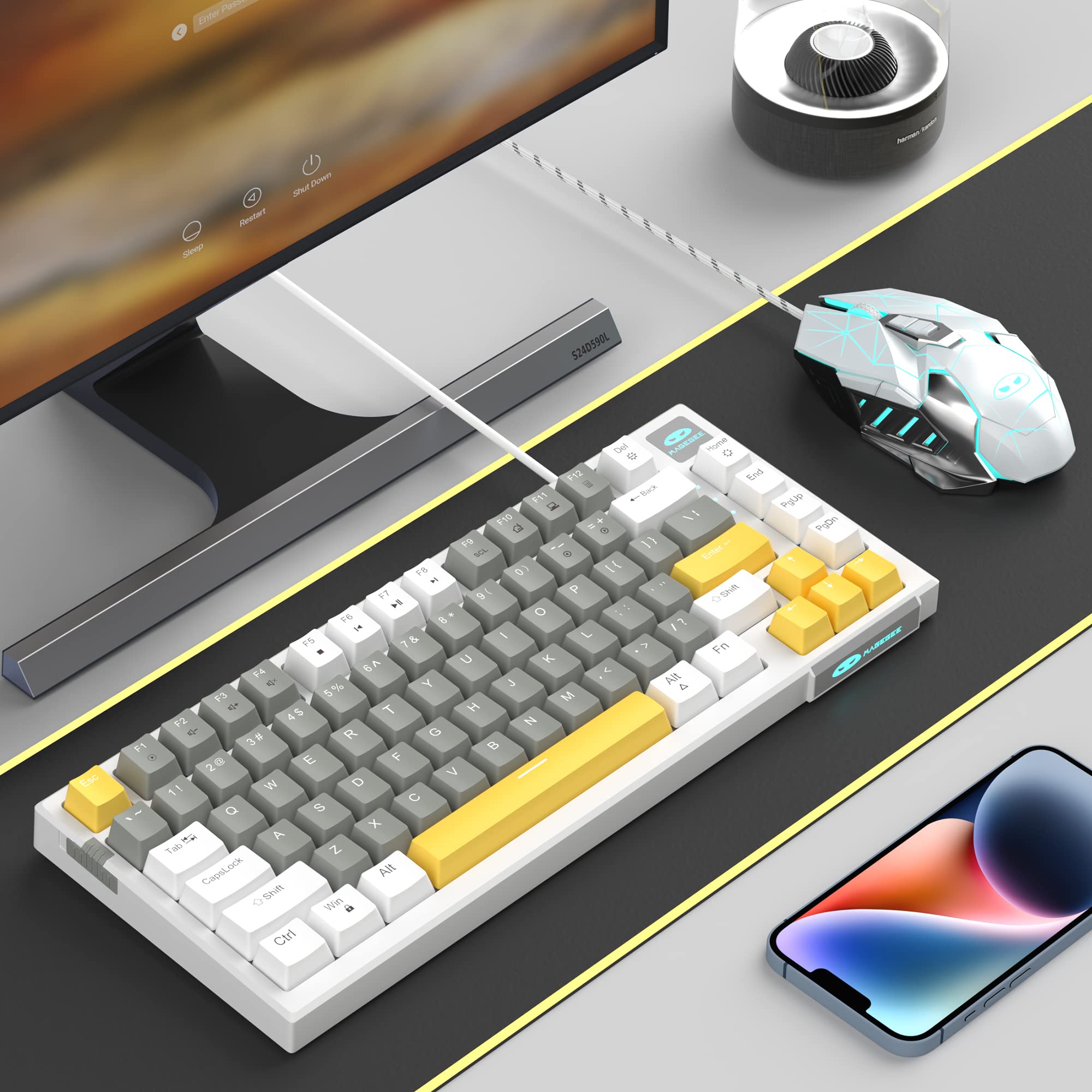 DANSHER Percent 60% Mechanical Gaming Keyboard,81Keys Wired Mechanical Keyboard LED Backlit Compact Office Keyboard with Blue Switch for Windows Laptop PC Mac Xbox