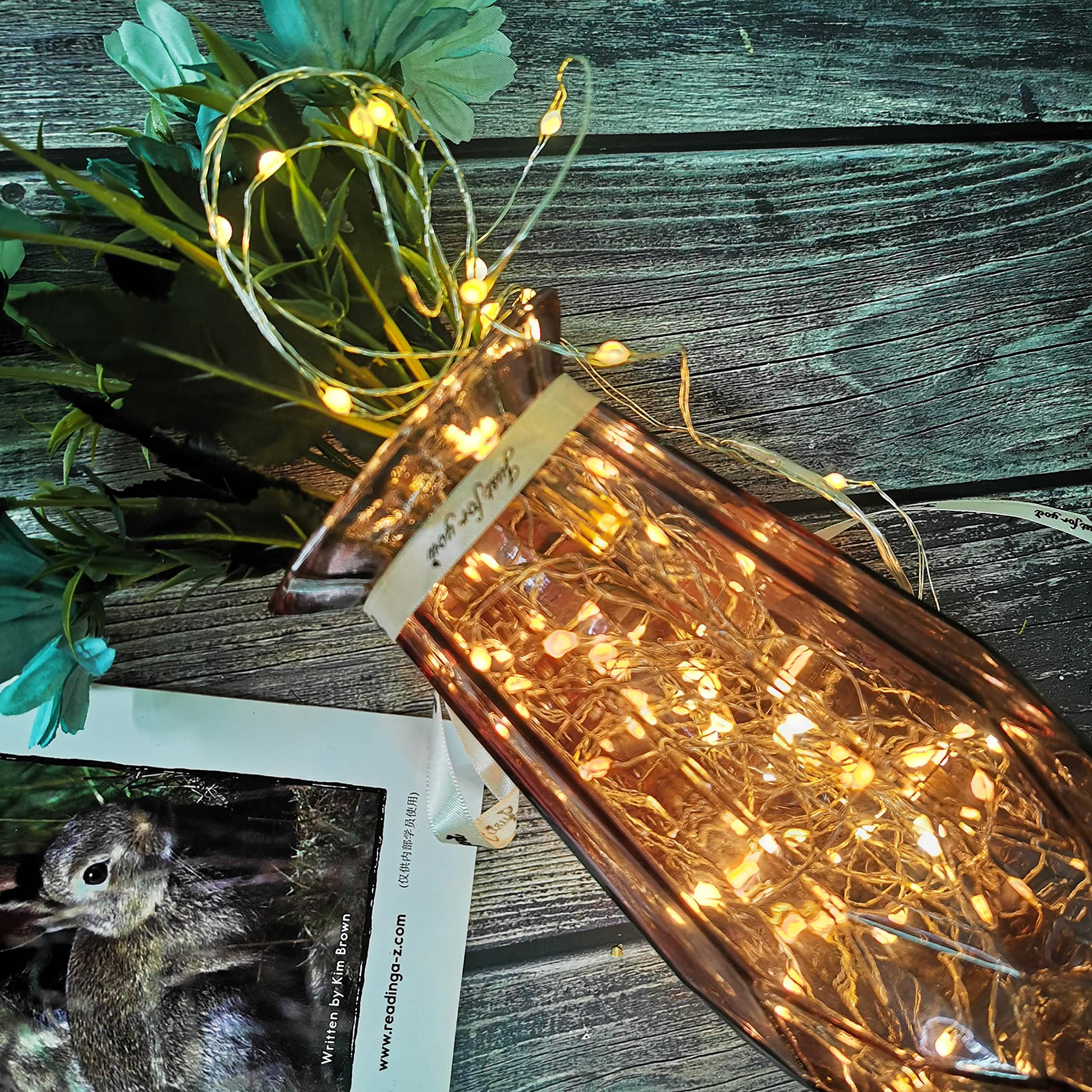 Yirunfa 2 Pack Solar String Lights, Warm White 33FT 100 LEDs Copper Wire Fairy Lights for Christmas, Bedroom, Garden, Party, Outdoor and Indoor Decoration