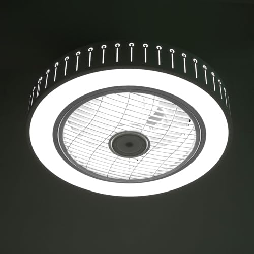 Ceiling Fan Light, Remote Control LED Lamp, Intdoor Round Dimmable 6 Wind Speeds Ceiling Fan with 5 Blades for Living Room, Dining Room, Foyer, Cottage, Bedroom, Dining Room, Study