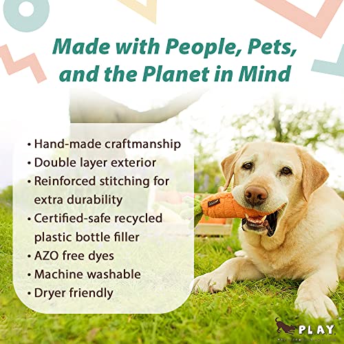 P.L.A.Y. Cute Plush Dog Toys - Fruit & Vegetable Themed Durable Squeaker Chew Toy, Great for Puppies & Small, Medium, Large Dogs - Machine Washable, Recycled Materials (Garden Fresh Carrot, Medium)
