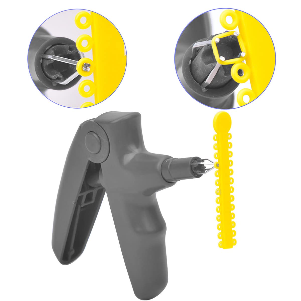 Dental Orthodontic Ligature Ties and Orthodontic Ligature Gun Tools Teeth Orthodontic Ligature Ring Rubber Bands Multi-Color (Combination)