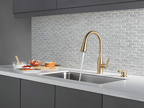 Delta Marca Single-Handle Pull-Down Sprayer Kitchen Faucet with ShieldSpray Technology in Champagne Bronze