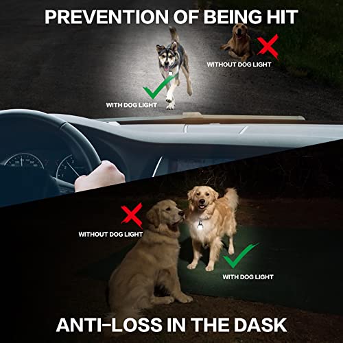 Dog Lights for Night Walking β 50LM Dog Collar Light, 3 Modes Rechargeable Dog Light, IP65 Waterproof Dog Walking Light, Dog Flashlight for Running, Camping, Climbing, Bike, 2 Pack