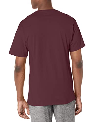 Champion mens Classic Jersey Tee Shirt, Maroon, XX-Large US