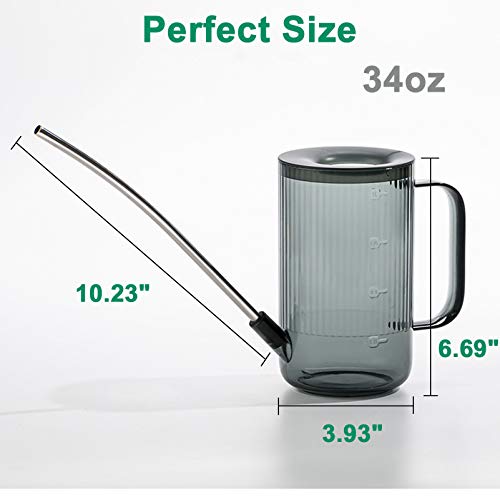 Indoor Plant Watering Can(34oz), Watering Can for Indoor Plants, Flowers, Succulents, with Plant Mister Spray Bottle(10oz)