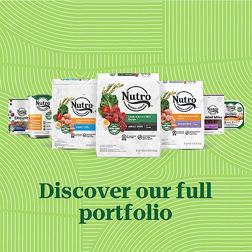 NUTRO NATURAL CHOICE Large Breed Puppy Dry Dog Food, Chicken & Brown Rice Recipe Dog Kibble, 30 lb. Bag
