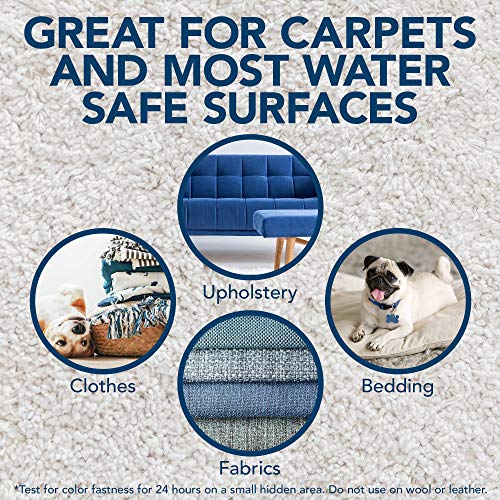Simple Solution Oxy Charged Pet Stain and Odor Remover | Eliminates Pet Stains and Odors with 3X Cleaning Power | 1 Gallon