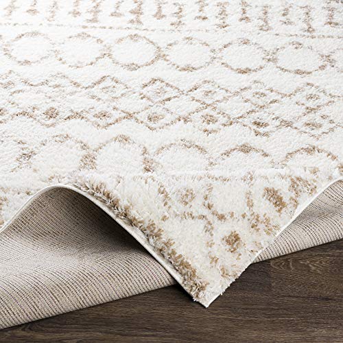 Livabliss Anita Bohemian Shag Area Rug,7'10" x 10',Beige