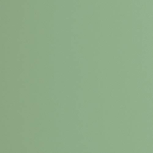 COSCO 11908GRN2E Kids Stool, One-Step, Green, 2