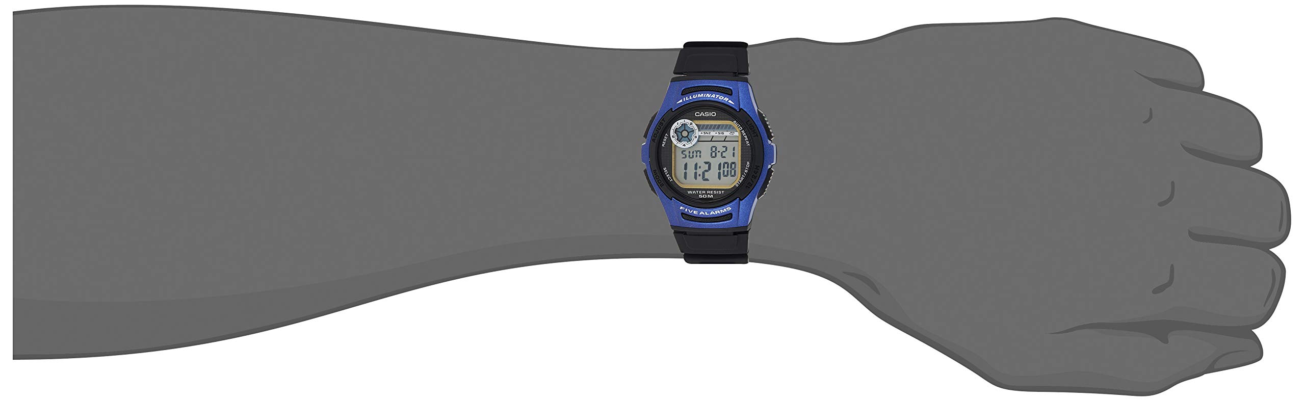 Casio Men's W213-2AVCF Basic Blue and Black Digital Watch