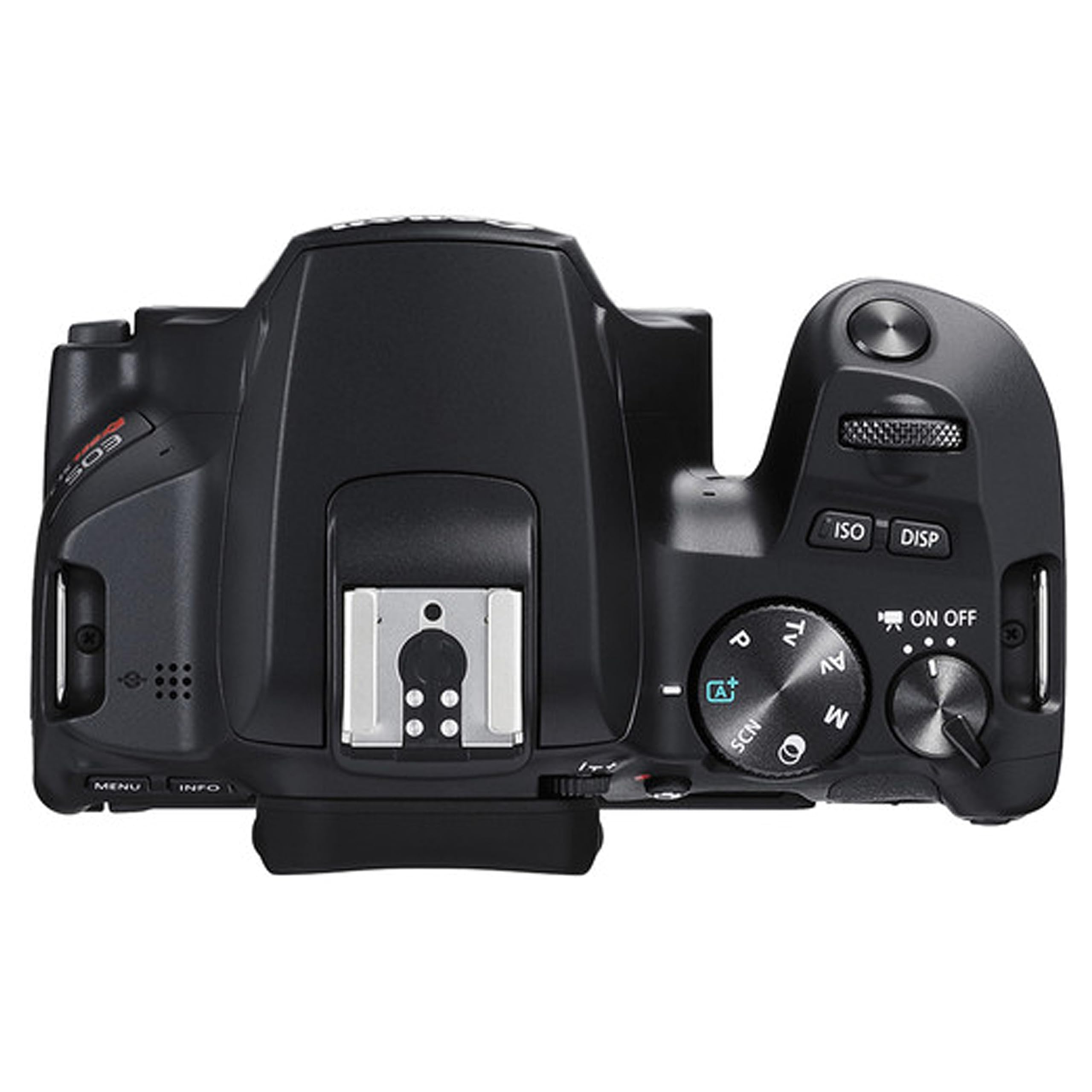 Canon EOS Rebel SL3 / 250D DSLR Camera with Canon EF-S 18-55mm f/4-5.6 is STM Lens + 32GB Memory Card + Tripod + Case + Cleaning Kit & More (Renewed)