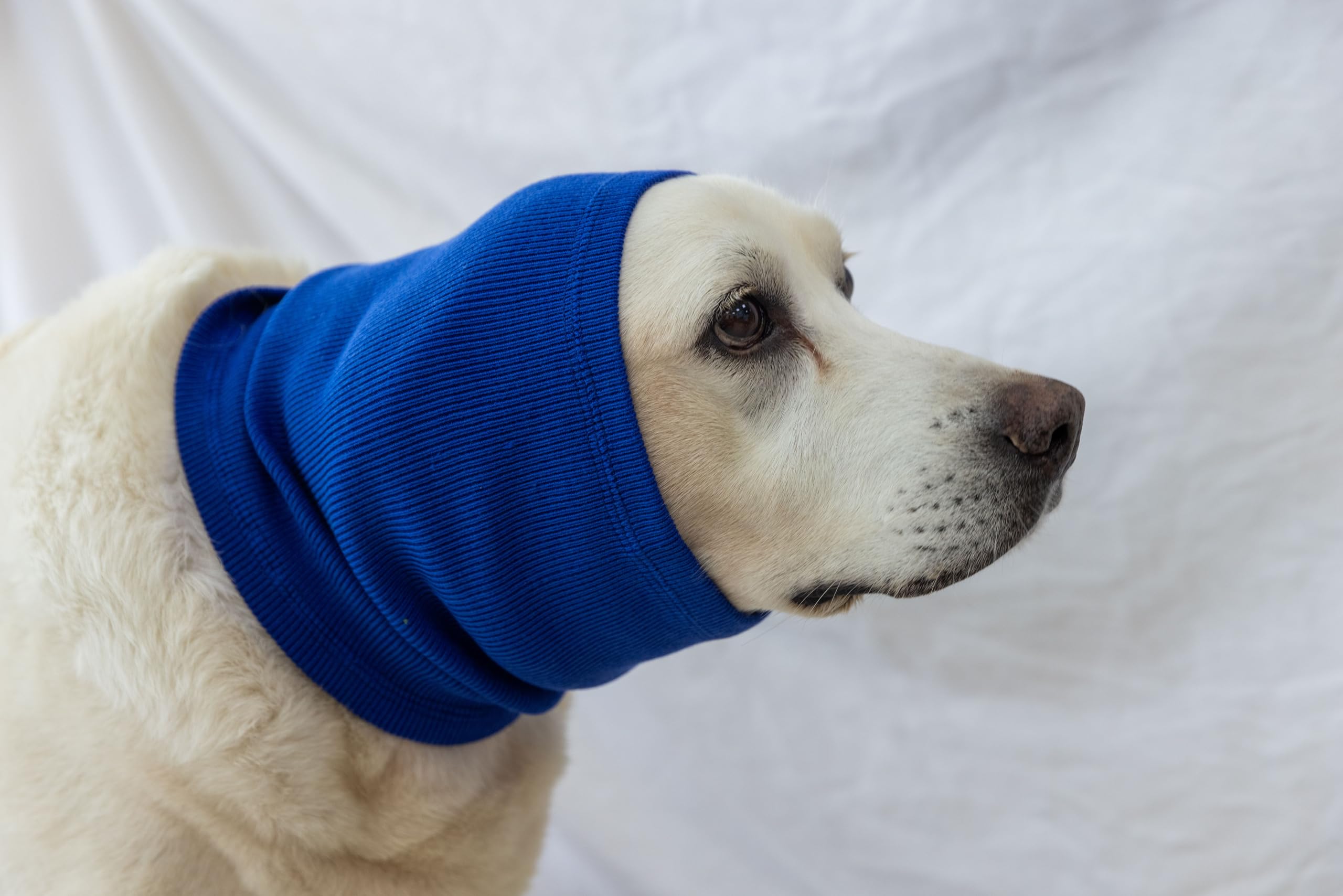 FDANDADE Quiet Ears for Dogs,Dog Hematoma Ear Wrap for Dogs Anxiety Relief – Noise Canceling for Fireworks, Thunderstorms, Pet Grooming & Force Drying(Blue M)