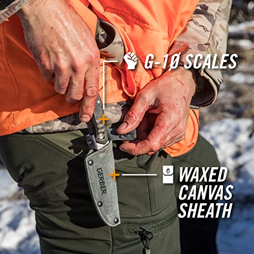Gerber Gear Downwind Caper - Fixed Blade Knife with Sheath for Hunting Gear - Olive