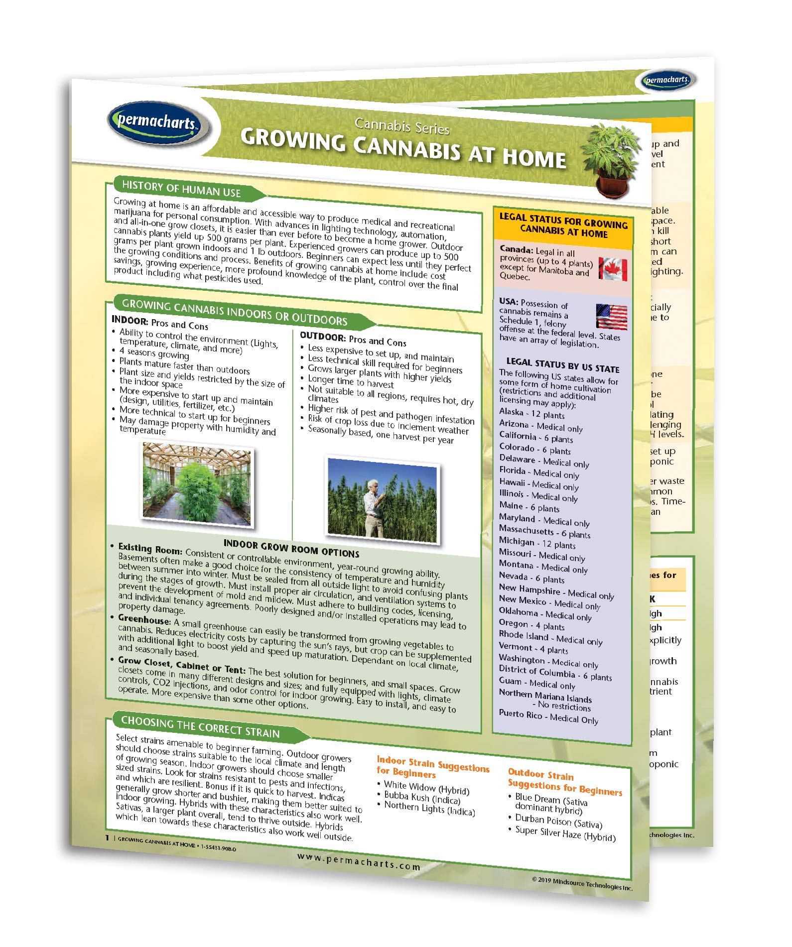 CBD Educational Charts - 8 Chart Bundle - Quick Reference Guides - Cannabinoid Educational Series by Permacharts