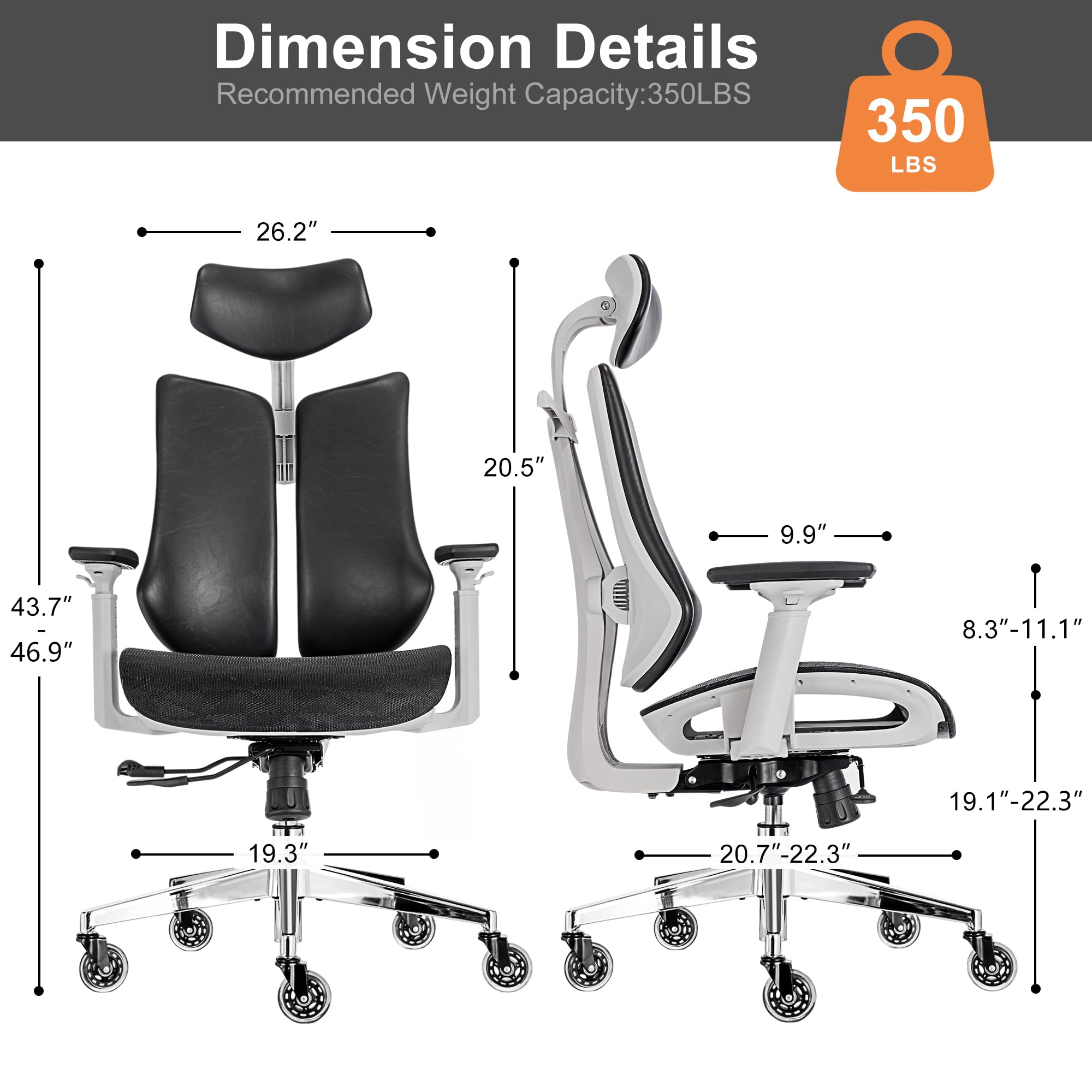BV Ergonomic Dual Backrests Office Chair, Lumbar Support Office Desk Chair Back Support, Breathable mesh Office Chair 3D Adjustable Armrest(Mesh White)