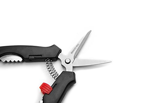 Nantucket Seafood 5979 Lobster Shears, Stainless Steel with Plastic Handle, 7 x 1.75 x 0.5 inches