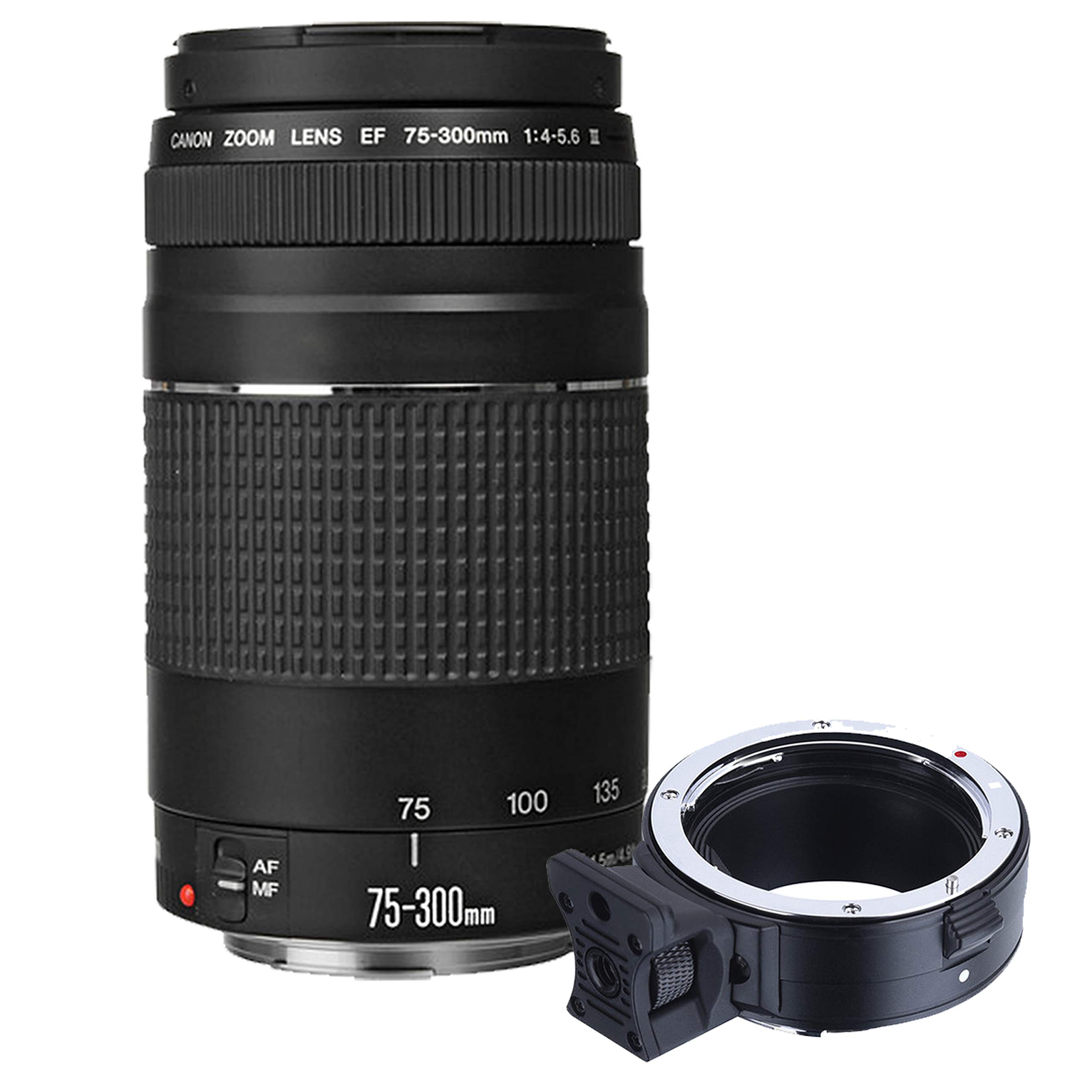 Canon EOS R6 Mirrorless Digital Camera with RF 24-105mm f/4 L is USM Lens + 75-300mm F/4-5.6 III Lens + 128GB Memory + Case + Tripod + Filters (41pc Bundle)