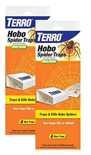 Hobo Spider Trap