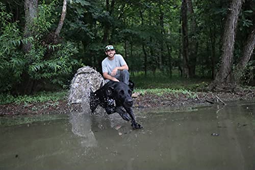 North Mountain Gear Popup Dog Blind - Wetland Camouflage