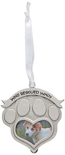 Cathedral Art (Abbey & CA Gift Who Rescued Who Pet Memorial Photo Ornament, One Size, Grey