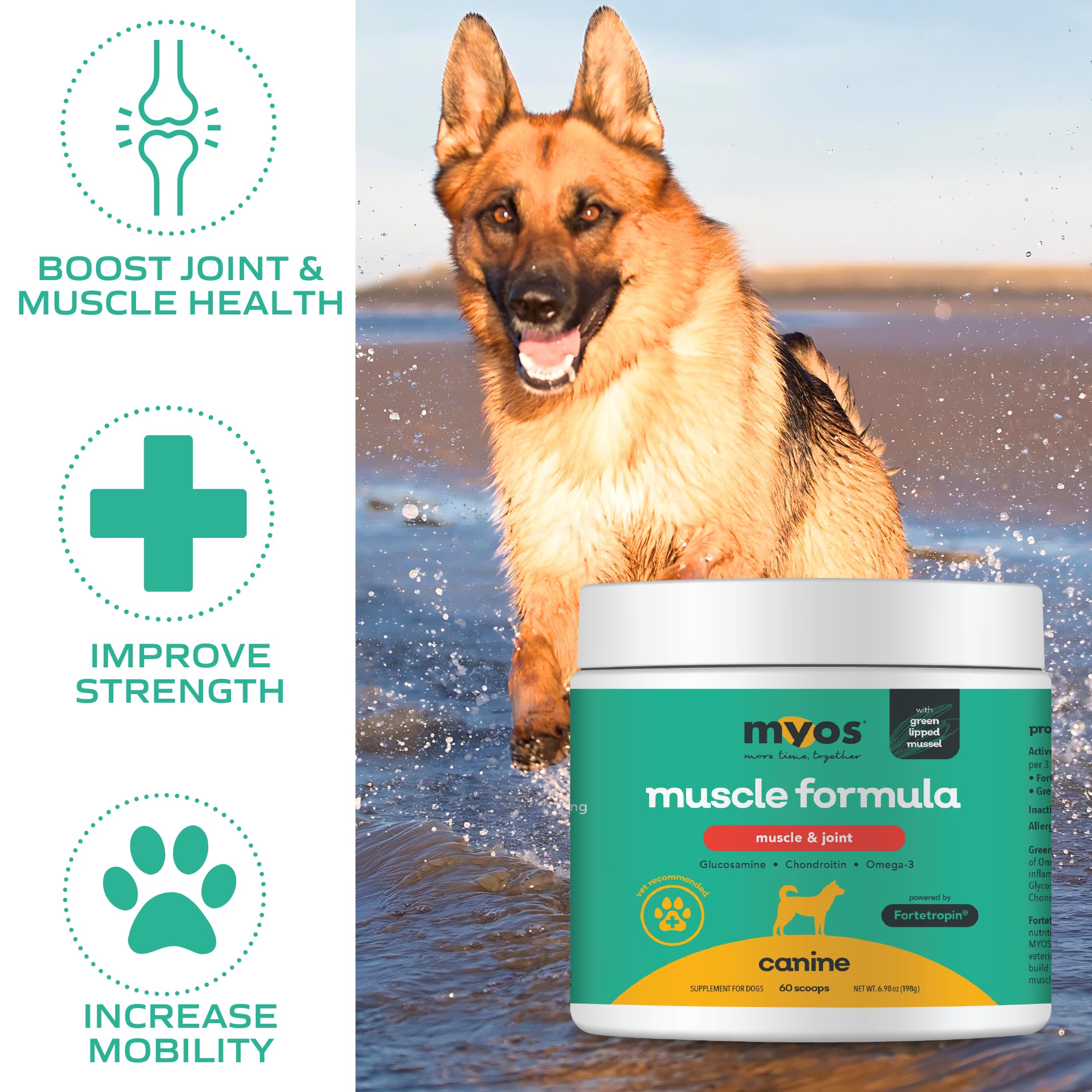 MYOS Muscle & Joint Powered by Fortetropin with Green Lipped Mussel 396g (198 gr)
