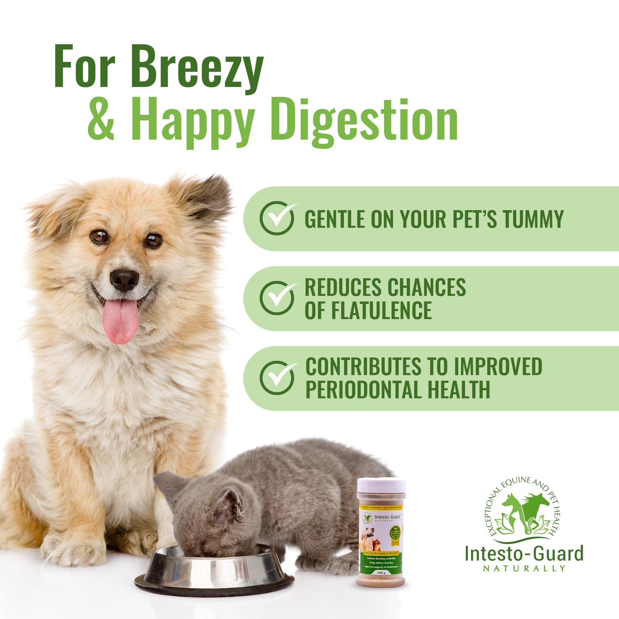 Powder Probiotics 90 Scoops for Dogs & Cats Bowel Digestive Immune Support Supports Gut Flora Nutrition Immunity 180G Bottle - 90 Scoops (Powder)