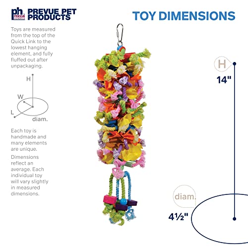 Prevue Pet Products 62606 Calypso Creations Club Bird Toy, Multicolor