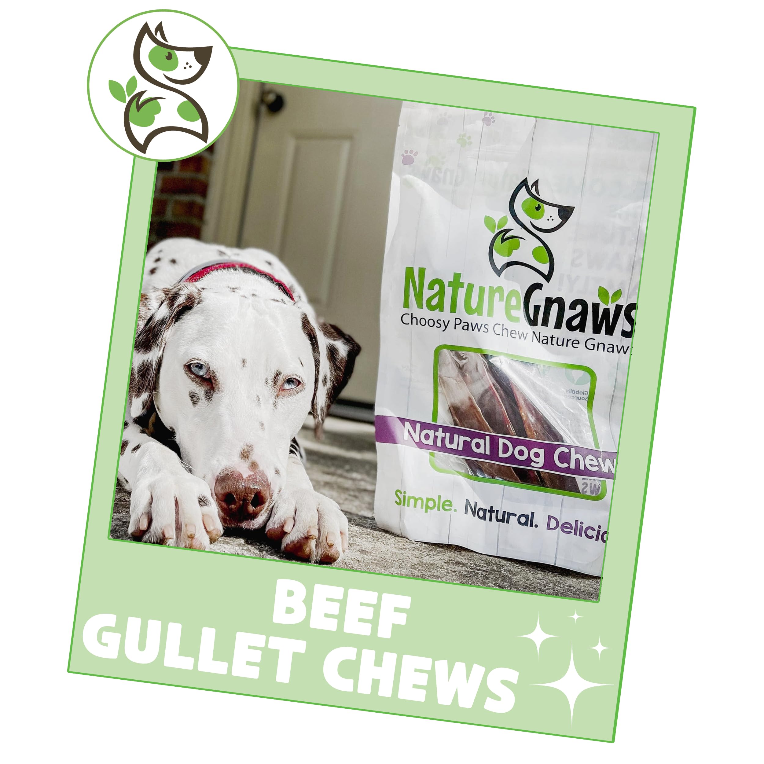 Nature Gnaws Beef Gullet Chews for Large Dogs 9-10" (10 Count) - Natural Beef Jerky Stick Dog Chew Treats - Rawhide Free