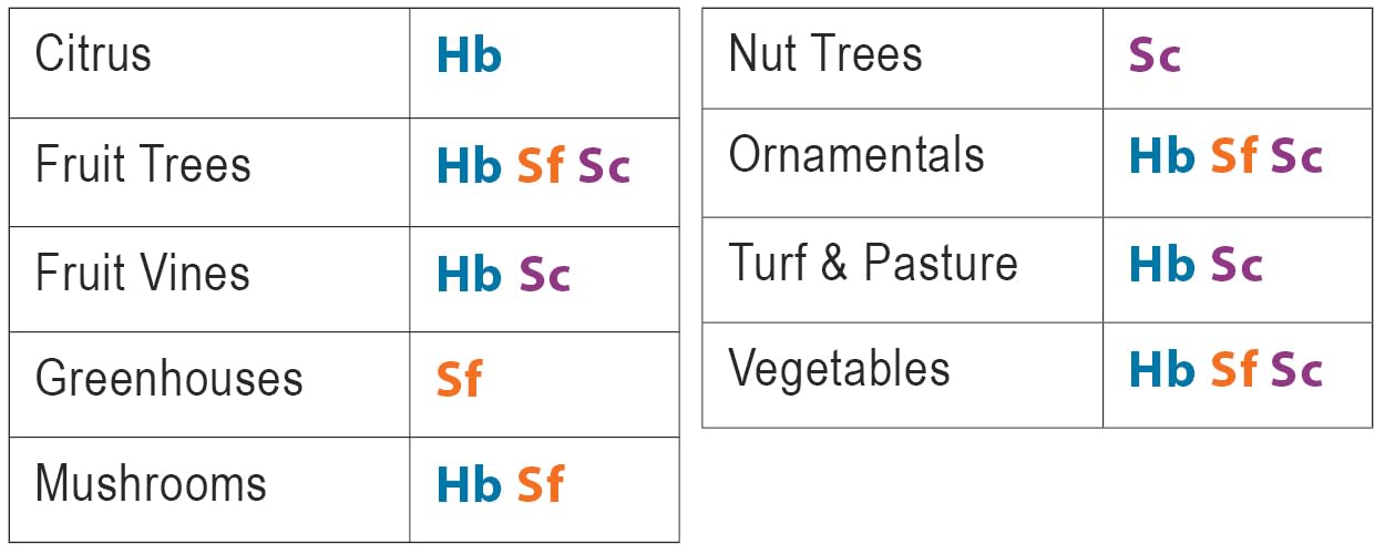 NaturesGoodGuys Beneficial Nematodes Heterohabditis bacteriophora HB -Ships from USA (25 Million)