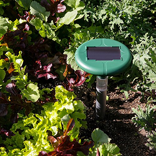 Good Life, Inc. Solar Safeguard | Solar Powered Mole, Gopher & Vole Repeller | Ultrasonic Sounds & Vibrations | Large Coverage Area | Water & Weather Resistant