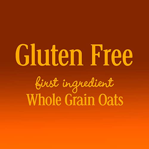 Cheerios Honey Nut Cheerios Heart Healthy Breakfast Cereal, Gluten Free Cereal With Whole Grain Oats, Large Size, 15.4 oz